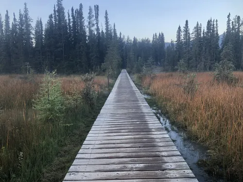 Best Hikes and Trails in Lower Post | AllTrails