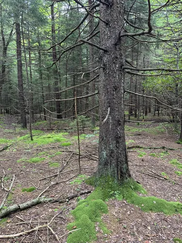 Best Hikes and Trails in Hauser Nature Center | AllTrails