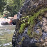 Angelito Trail, East Region, Puerto Rico - 539 Reviews, Map | AllTrails