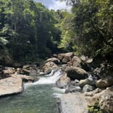 Angelito Trail, East Region, Puerto Rico - 539 Reviews, Map | AllTrails