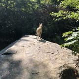Rachel Carson Greenway Trail, Maryland - 975 Reviews, Map | AllTrails