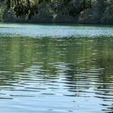 Appalachian Trail, Lost Cove, and Lakeshore Loop, North Carolina - 156 ...