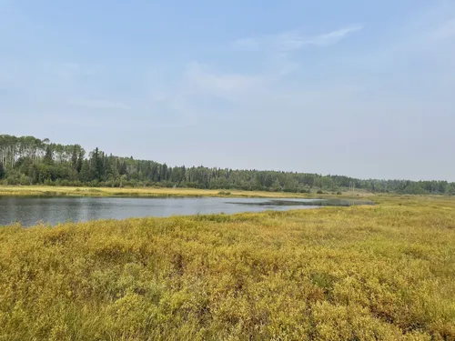10 Best Trails and Hikes in Burns Lake | AllTrails