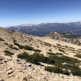 Freel Peak from Armstrong Pass, California - 441 Reviews, Map | AllTrails