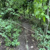 Pyramid Point Loop, Michigan - 928 Reviews, Map | AllTrails