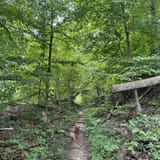 Pyramid Point Loop, Michigan - 928 Reviews, Map | AllTrails