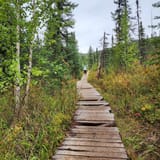 Angel Rocks Trail, Alaska - 758 Reviews, Map | AllTrails