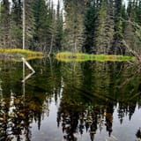 Angel Rocks Trail, Alaska - 748 Reviews, Map | AllTrails