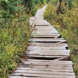 Angel Rocks Trail, Alaska - 748 Reviews, Map | AllTrails