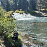 Fall River Loop, Oregon - 444 Reviews, Map | AllTrails