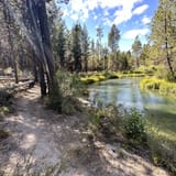 Fall River Loop, Oregon - 444 Reviews, Map | AllTrails