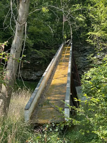 2023 Best Forest Trails in Kittanning | AllTrails