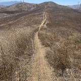 Bane Canyon Short Loop Trail, California - 844 Reviews, Map | AllTrails