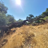 Timberhill Park Trail, California - 228 Reviews, Map | AllTrails