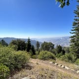 Boole Tree Loop, California - 139 Reviews, Map | AllTrails