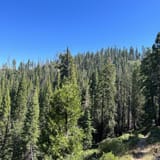 Boole Tree Loop, California - 139 Reviews, Map | AllTrails