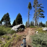 Boole Tree Loop, California - 139 Reviews, Map | AllTrails