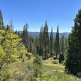 Boole Tree Loop, California - 139 Reviews, Map | AllTrails