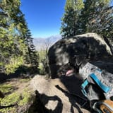 Boole Tree Loop, California - 139 Reviews, Map | AllTrails