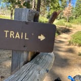 Boole Tree Loop, California - 139 Reviews, Map | AllTrails