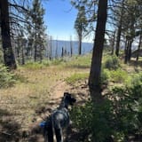 Boole Tree Loop, California - 138 Reviews, Map | AllTrails