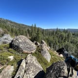 Boole Tree Loop, California - 185 Reviews, Map | AllTrails
