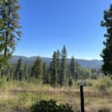 Boole Tree Loop, California - 139 Reviews, Map | AllTrails