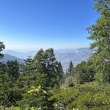 Boole Tree Loop, California - 139 Reviews, Map | AllTrails