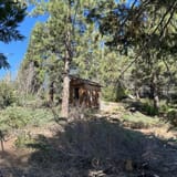 Boole Tree Loop, California - 139 Reviews, Map | AllTrails