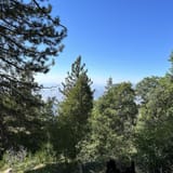 Boole Tree Loop, California - 139 Reviews, Map | AllTrails