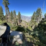 Boole Tree Loop, California - 139 Reviews, Map | AllTrails