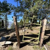 Boole Tree Loop, California - 185 Reviews, Map | AllTrails