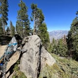 Boole Tree Loop, California - 139 Reviews, Map | AllTrails