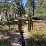 Boole Tree Loop, California - 157 Reviews, Map | AllTrails