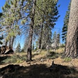 Boole Tree Loop, California - 157 Reviews, Map | AllTrails