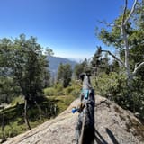 Boole Tree Loop, California - 185 Reviews, Map | AllTrails