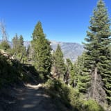 Boole Tree Loop, California - 157 Reviews, Map | AllTrails