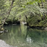 Indian River Trail, Alaska - 278 Reviews, Map | AllTrails