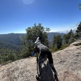 Boole Tree Loop, California - 185 Reviews, Map | AllTrails