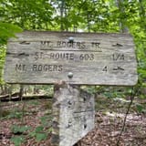 Mount Rogers Trail, Virginia - 400 Reviews, Map | AllTrails