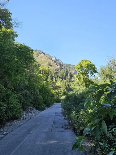 Best Hikes and Trails in Provo Canyon | AllTrails