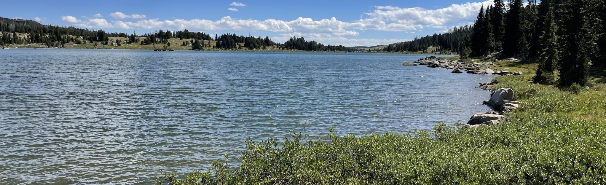 Becker Lake: 198 foto's - Montana | Wandelen - AllTrails