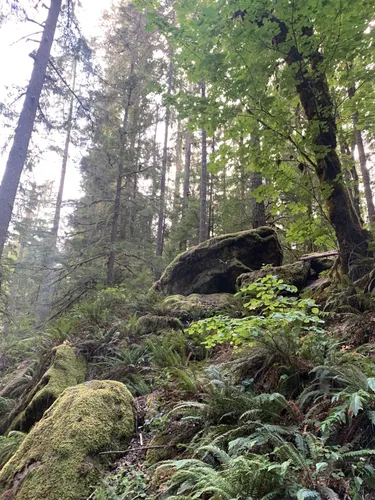 Best Hikes and Trails in Cascadia State Park | AllTrails