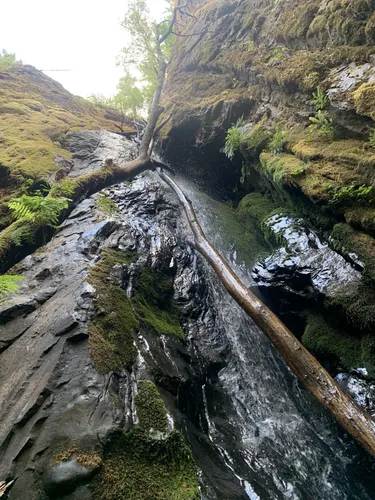 Best Hikes and Trails in Cascadia State Park | AllTrails