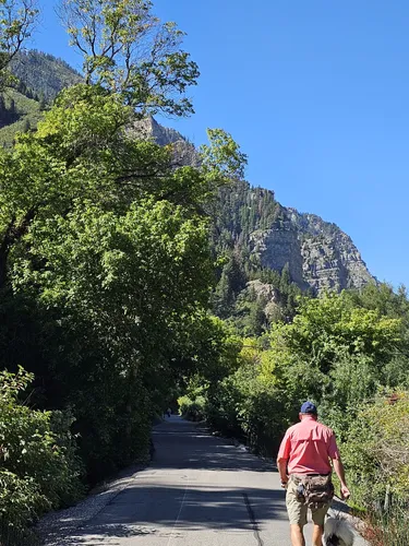 Best Hikes and Trails in Provo Canyon | AllTrails
