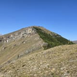 Mount Allan from Ribbon Creek, Alberta, Canada - 825 Reviews, Map ...