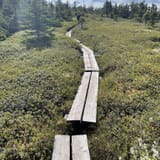 Mahoosuc Traverse, Maine - 44 Reviews, Map | AllTrails