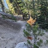 Weaver Lake Trail, California - 885 Reviews, Map | AllTrails