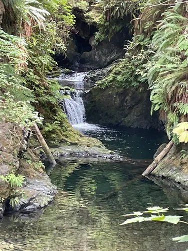 Best Hikes and Trails in Colonel Bob Wilderness | AllTrails