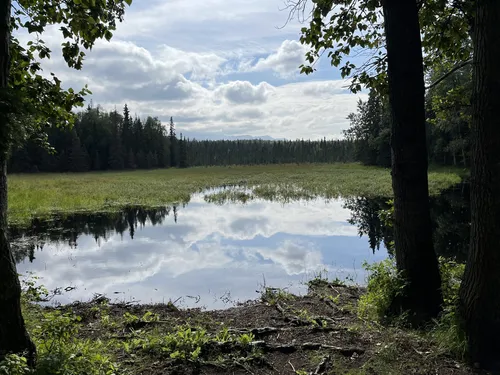 Abbott Loop Community Park: de beste routes om te wandelen | AllTrails